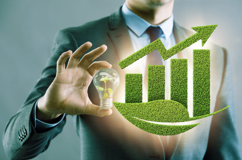 Capitalising On The Growing Green Economy - BiZQ